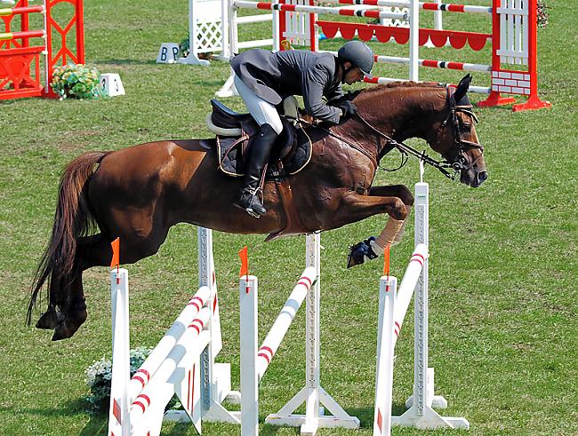 Zirgi un jāšanas sports - Spoki