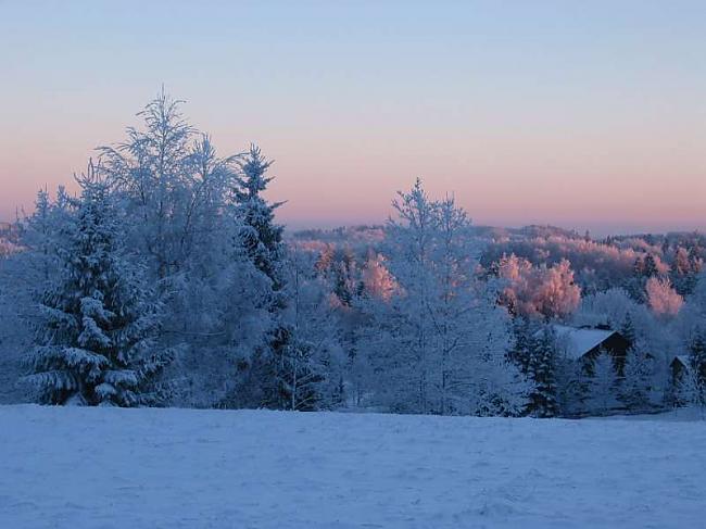 Ziemas attēli fonam - Spoki
