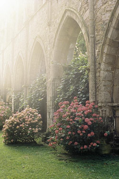 Be like snow: beautiful, but cold. #13 - Spoki