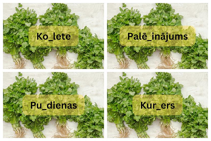 Tests: Vai proti pareizi uzrakstīt šos vārdus, kuri sākas ar burtiem P ...