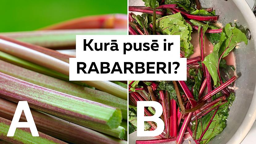 Ātrais tests: Vai tu zini, kurā pusē ir redzami rabarberi? - Spoki