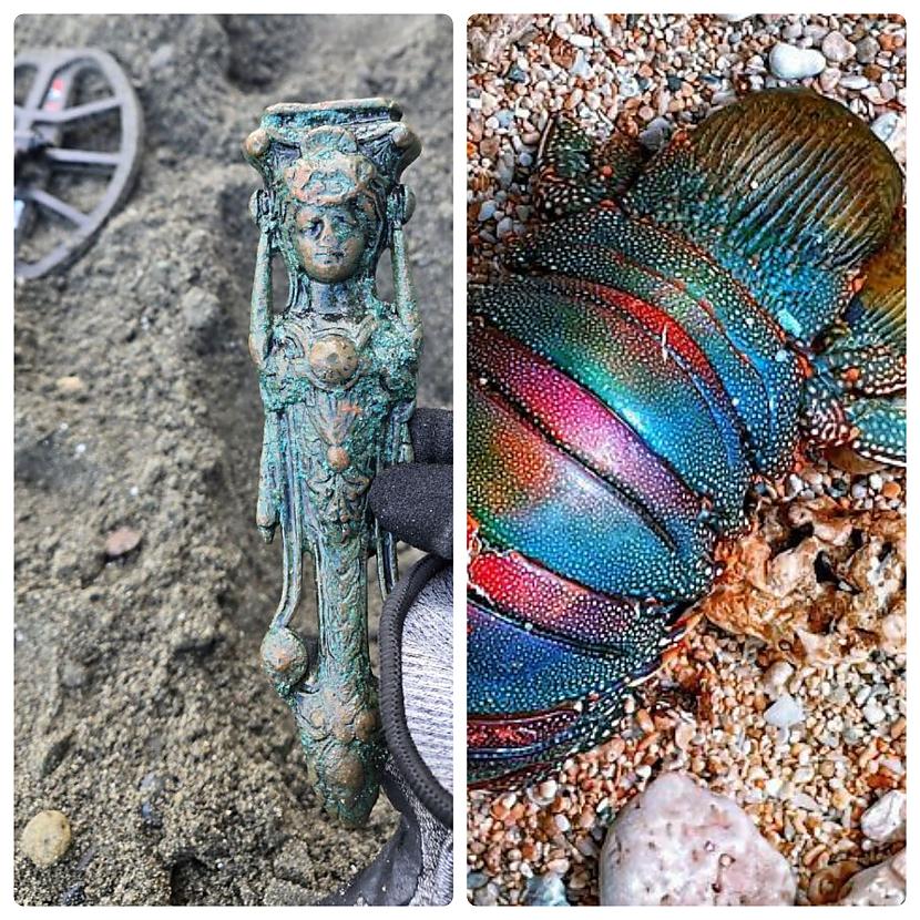 17 reizes cilvēki devās uz pludmali un atrada to, ko vismazāk gaidīja ...